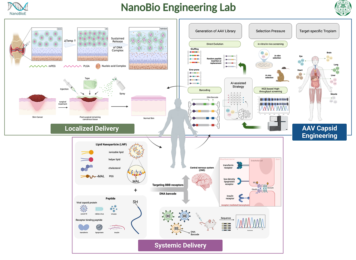 Research | NanoBio Lab